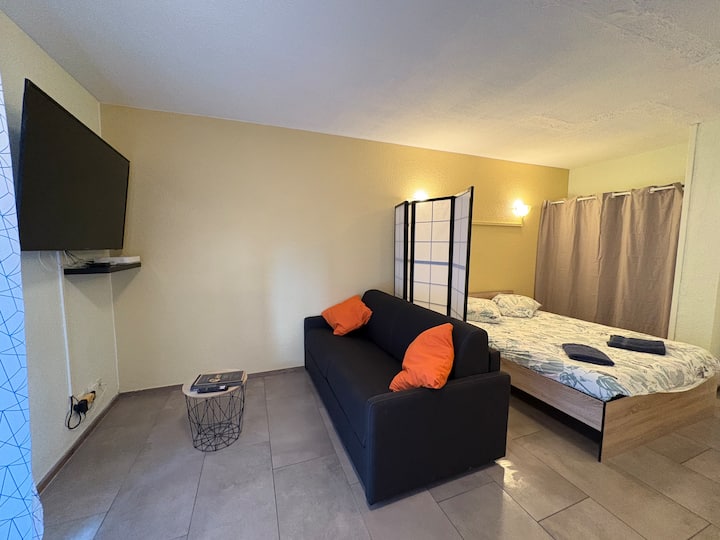 Studio Climatise Havre De Paix Parking - Lourdes