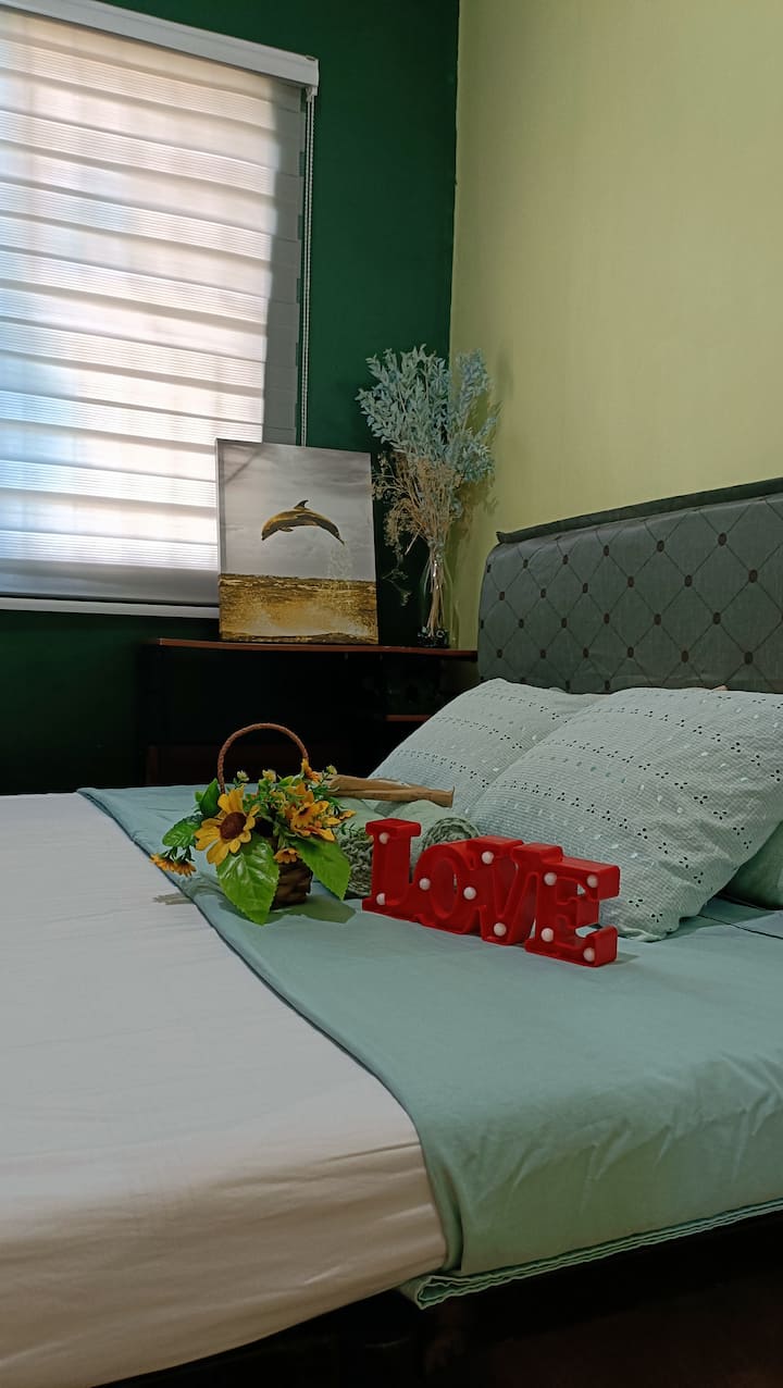 Amigas Transient House - Santo Tomas