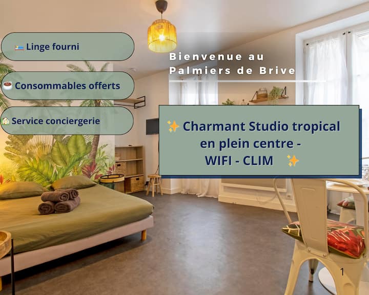 Les Palmiers De Brive - Brive-la-Gaillarde