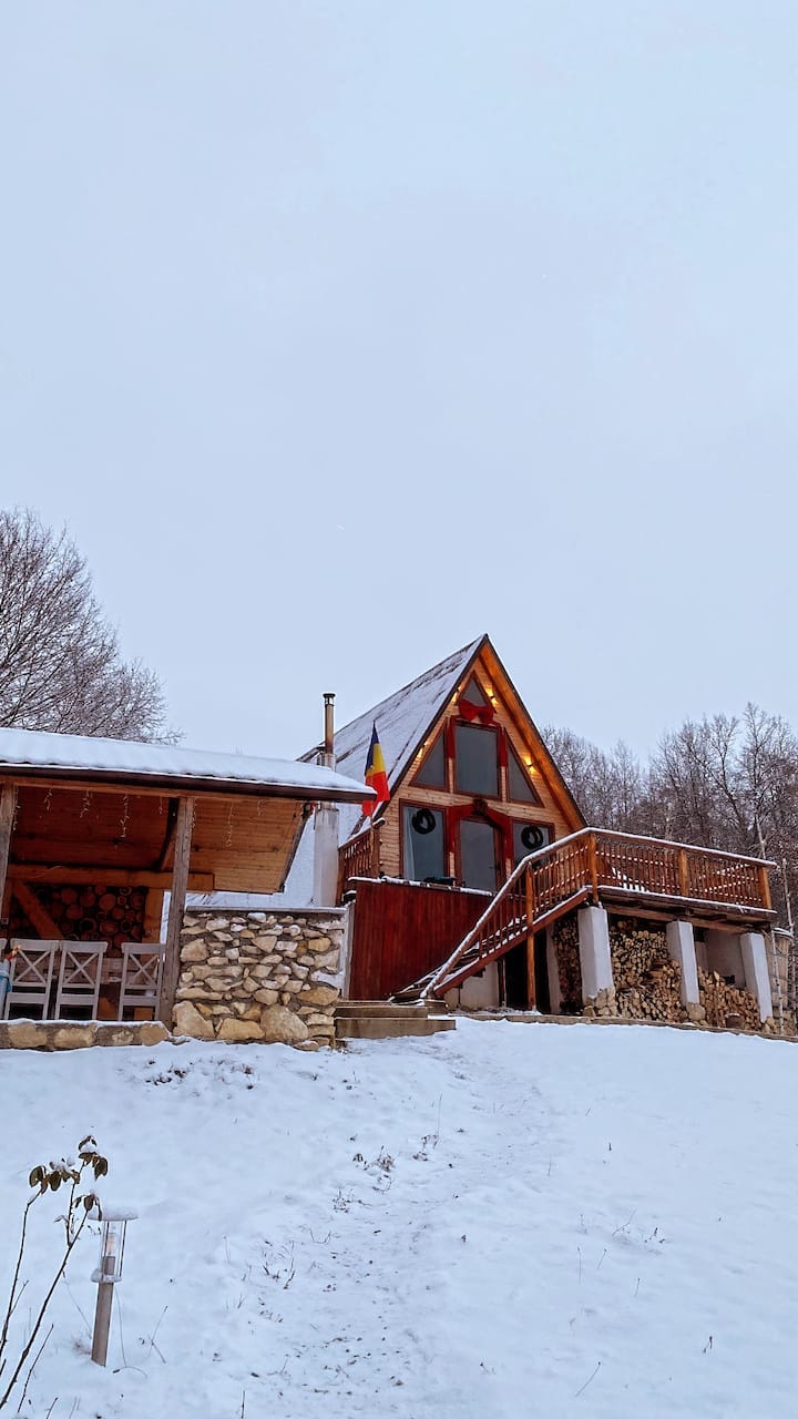 A Frame Pe Dimburi
Locuința Nemaipomenita - Transylvania