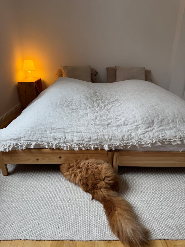 Urban & Ruhig- Zimmer+bad Im Herzen Der Südstadt - Cologne