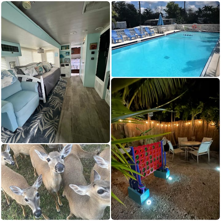 Tropical Rv Getaway In Big Pine Key - Big Pine Key, FL