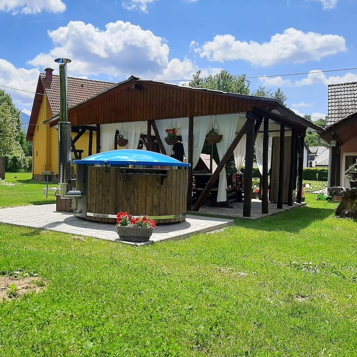 Casa De Vacanta La Munte - Cârțișoara