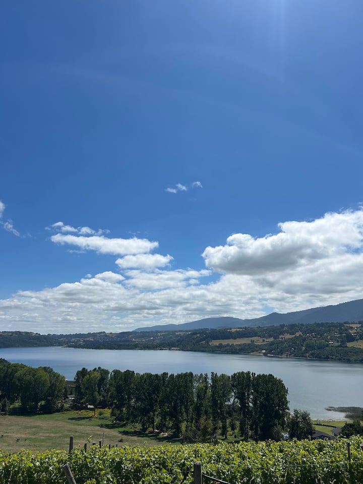 Cabaña En Futrono. - Futrono