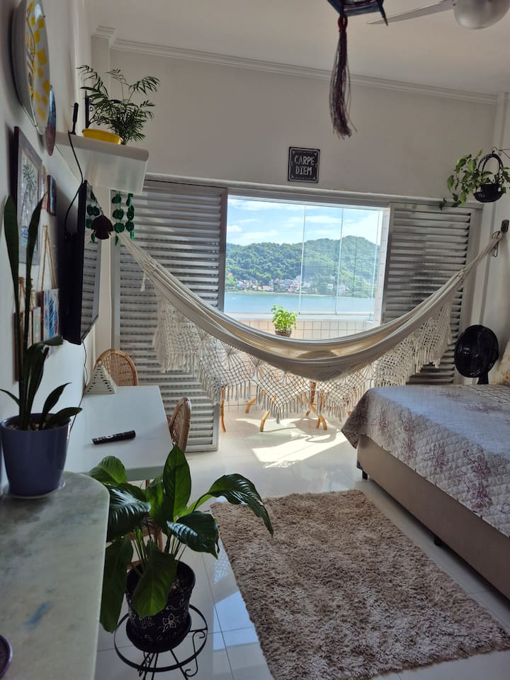 Vista Panorâmica Praia Dos Milionários - Santos