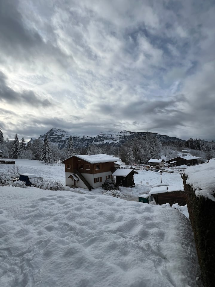 Studio Vu Montagne Carroz - Les Carroz d'Arâches