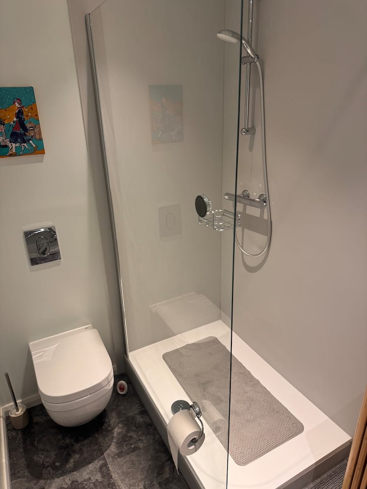 Modern 1 Br Flat On Putney Hill - Fulham