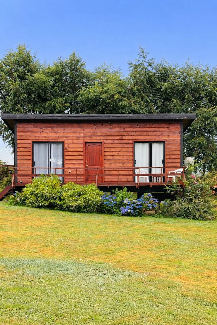 Futrono,
 Zona Precordillerana - Futrono