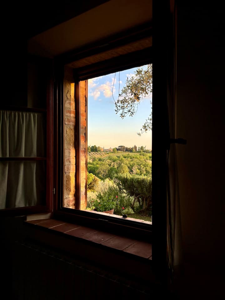 Typical Tuscan Country House With A/c - Siena