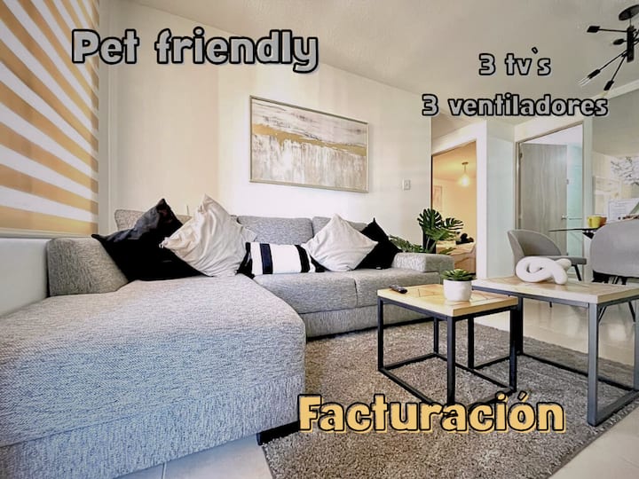 Depa P4 Con Estacionamiento Y Tv En C/ Habitación - San Miguel de Allende