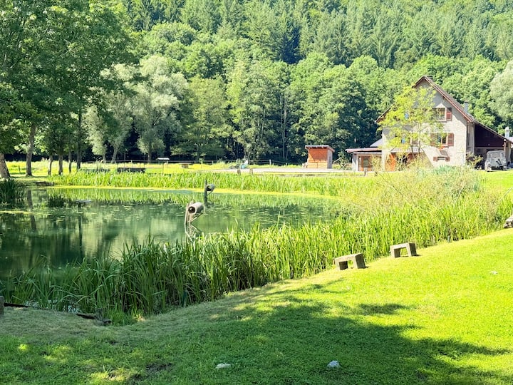 Maison En Pleine Nature - Domaine Du Trèfle D'or - 슈바르츠발트
