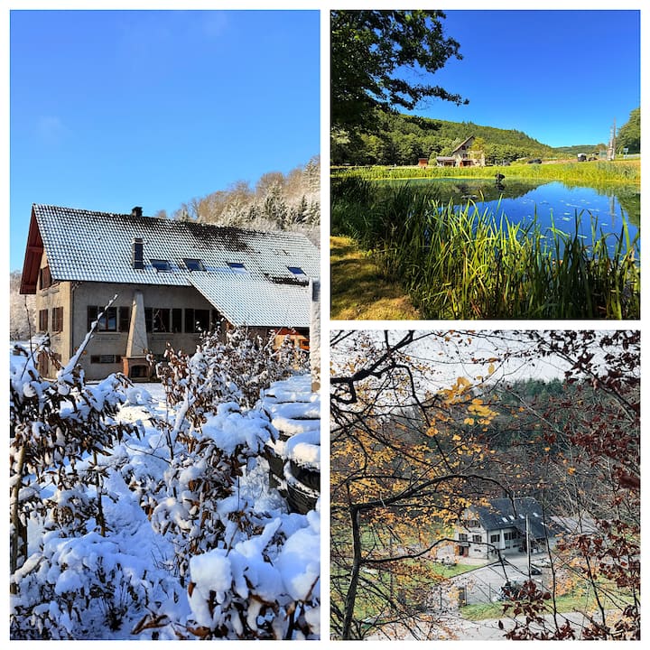 Maison D’hôtes - Domaine Du Trèfle D'or - Lorraine