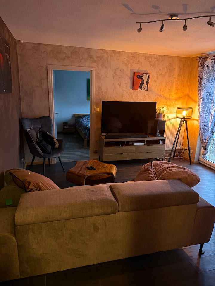 Appartement F2 Proche De Colmar - Horbourg-Wihr