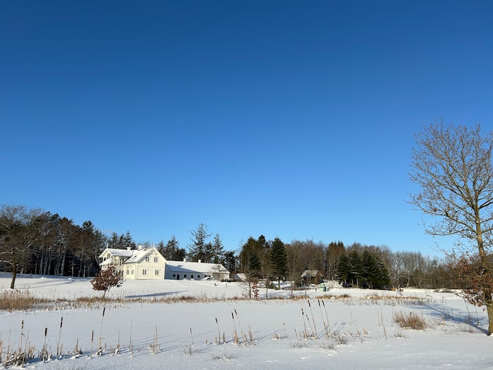 Gæstehus I Skoven - Denmark