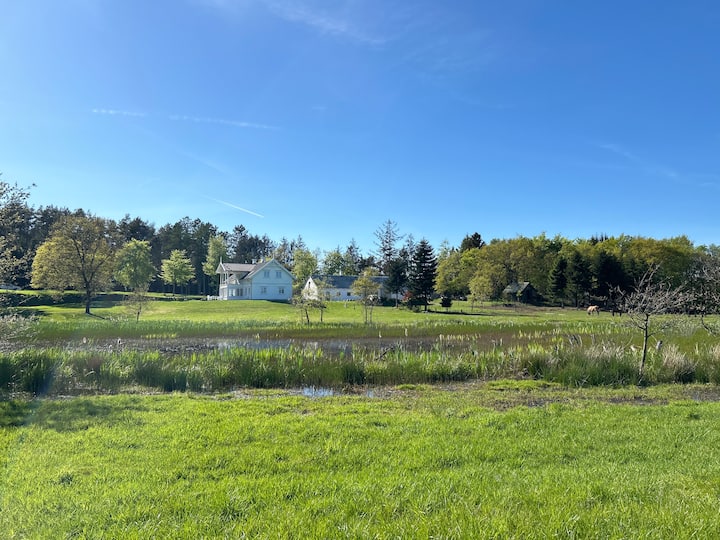 Gæstehus I Skoven - Denmark