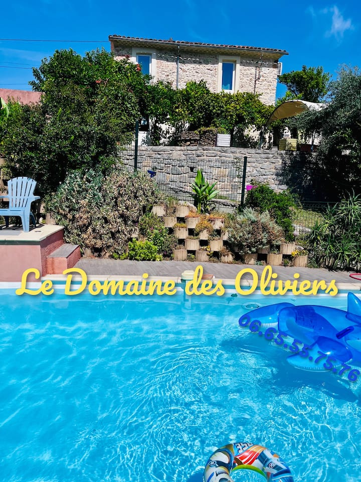 Le Domaine Des Oliviers 12p Piscine Spa Sauna Clim - Alès