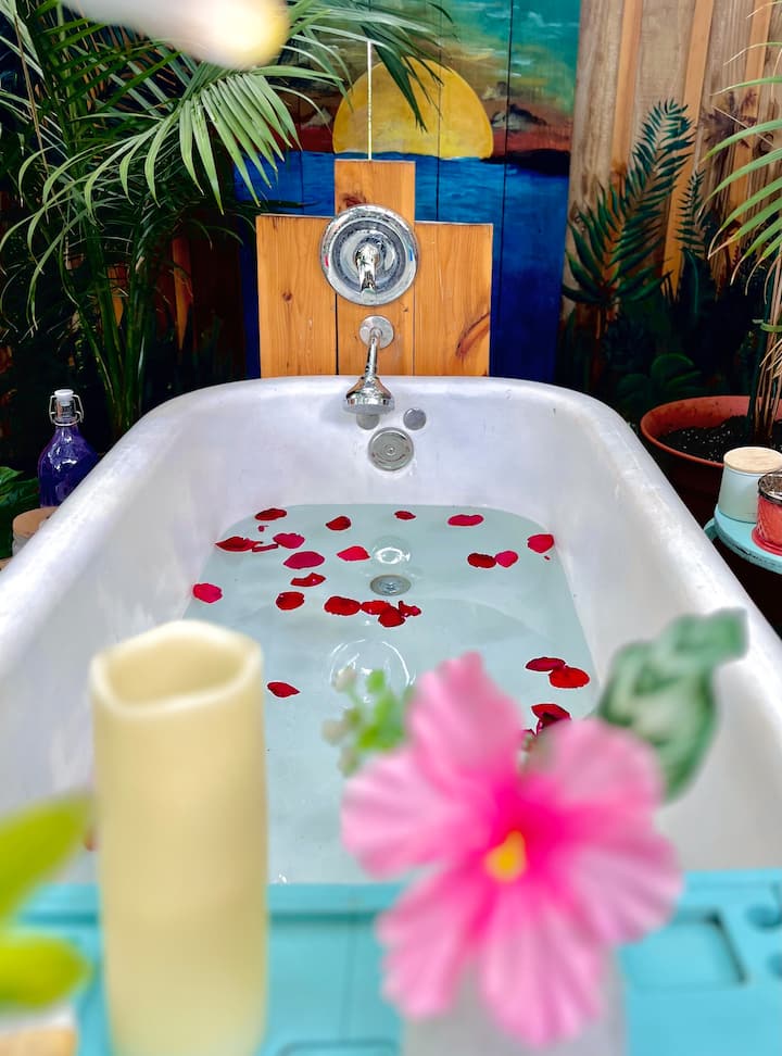 Outdoor Shower/close To Utsa/la Cantera Mall/va - San Antonio, TX