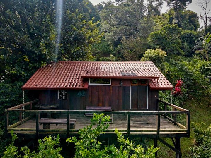 Nestled In The Forest•trails•waterfalls 13 Km Away - Bajos del Toro