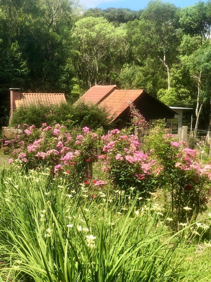 Chalé Com Vista Para Vinhedo E Natureza - Guarapuava