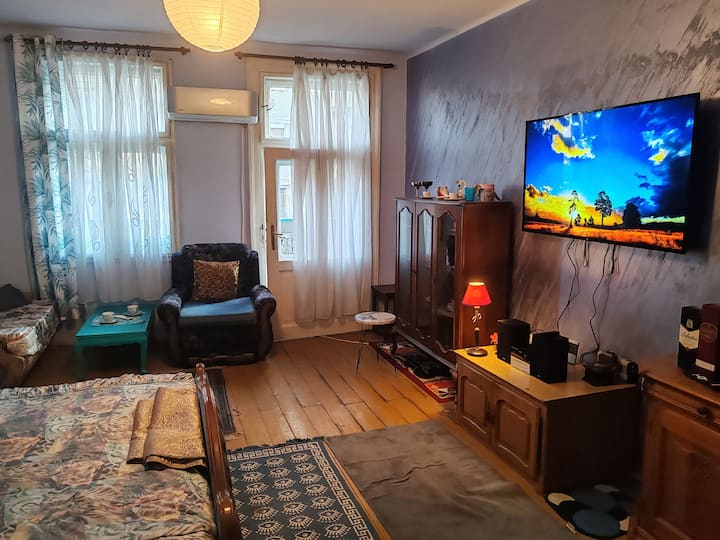 Central Big Flat, Conn To Airport B/r - Belgrad