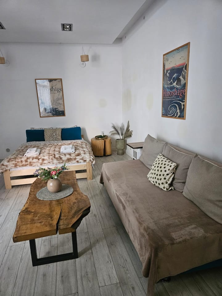 Modern Apartment In The Old Town - Krakova