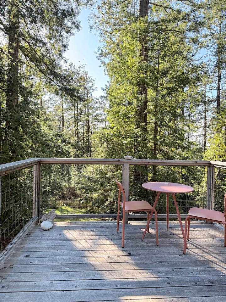 Modern Barn Studio In Redwoods - Gualala, CA