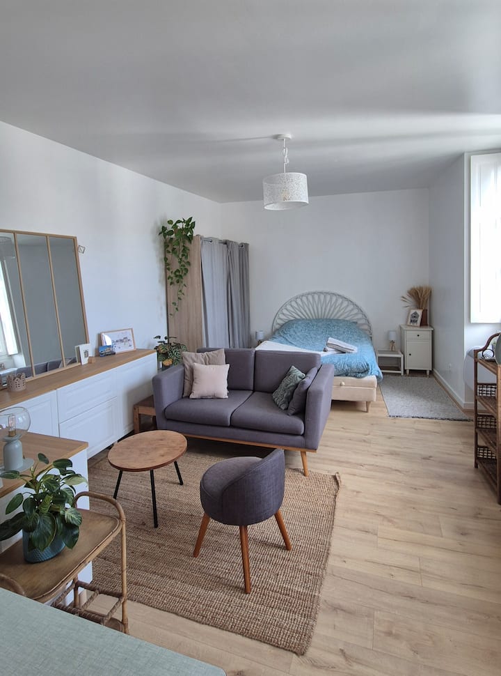 Le P'tit Appart Cosy Sur Cour Arborée ! - Nantes