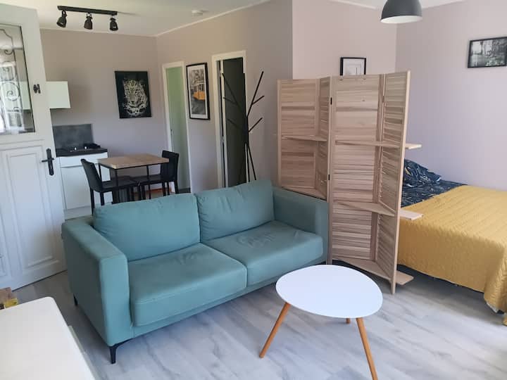 Studio Dans Maison Auvergnate. - Salers