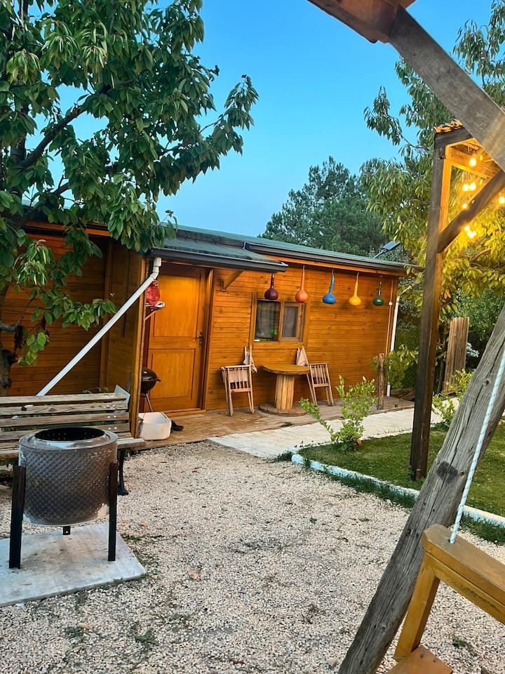 Alphonsebağevi - Türkiye