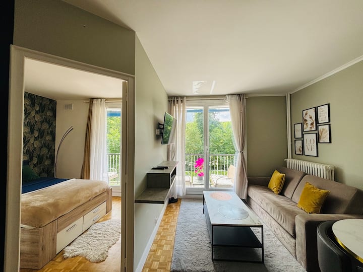 Proche Château Versailles+balcon+parking Gratuit - Versailles