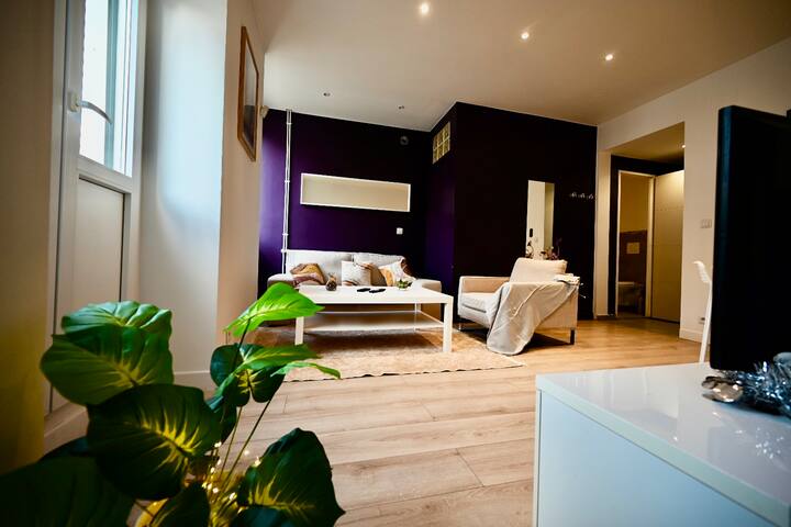 3p Cosy à Mulhouse, 55 M2 - Mulhouse