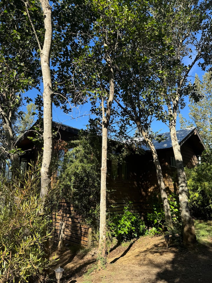 Cabaña Entre Radales 6 Personas - Pucón