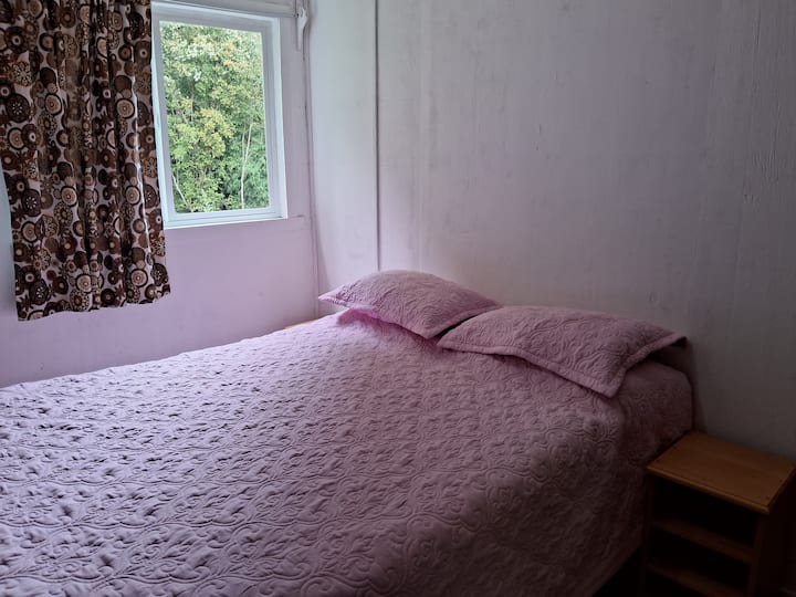 Bosque Nativo - Chaitén