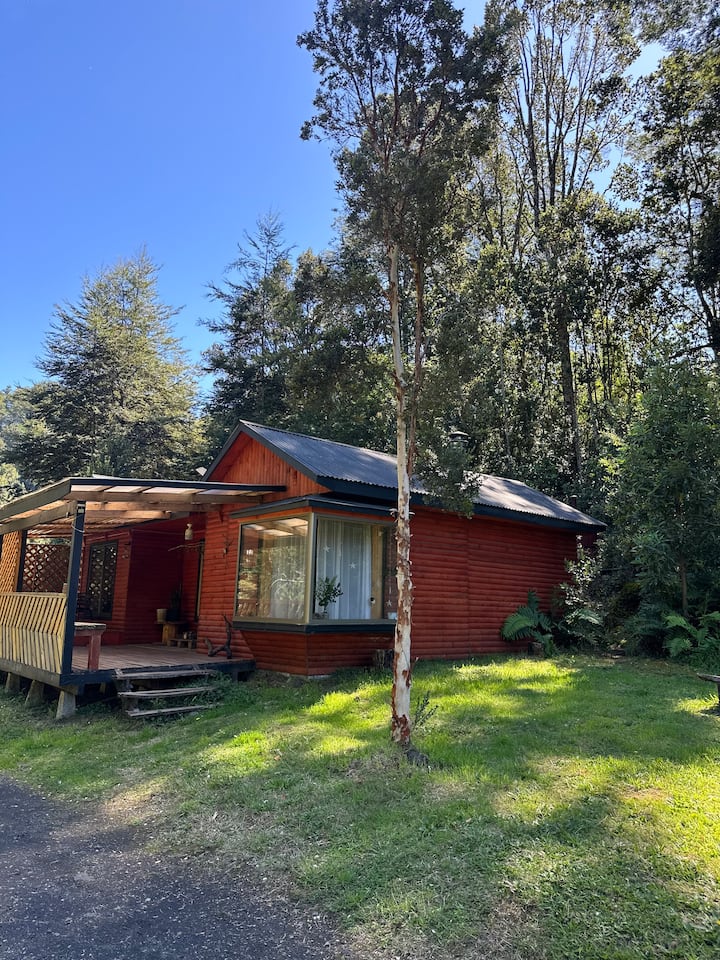 Salto Pichi Ignao Cabaña. - Lago Ranco