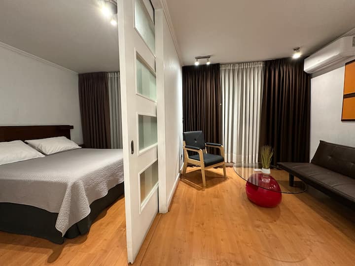 Agradable Departamento En Providencia - Chile