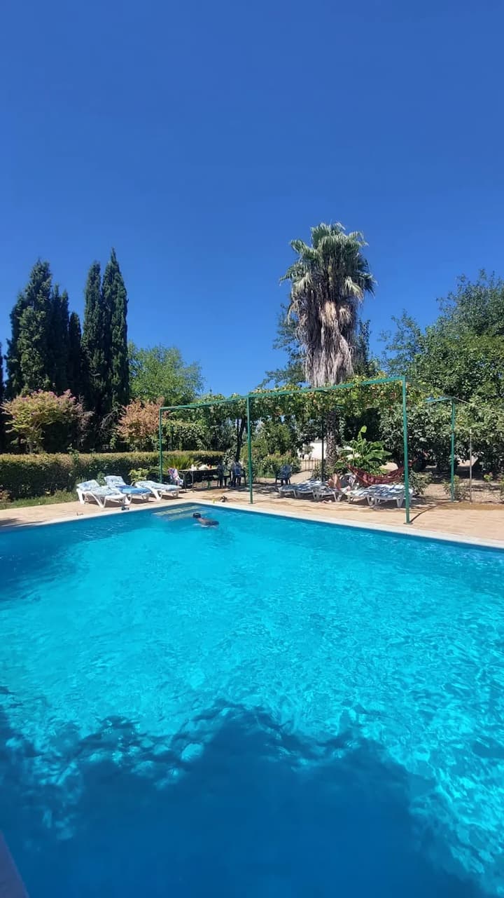 Cortijo" El Gitano" - Andújar