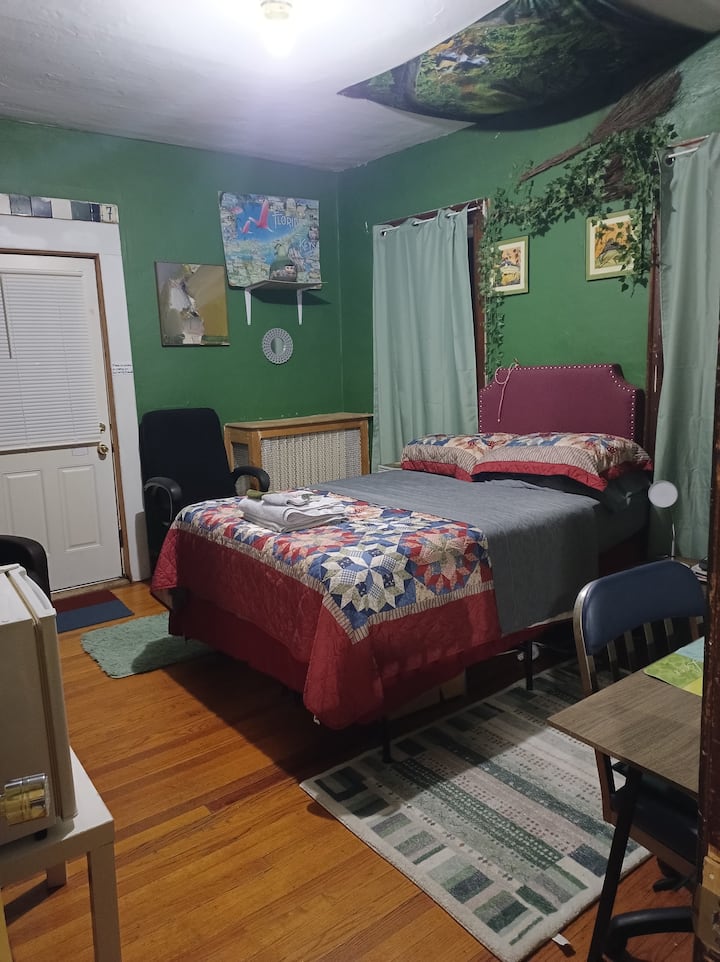 Albany Medical/colleges/downtown Albany/ Room O - Albany, NY