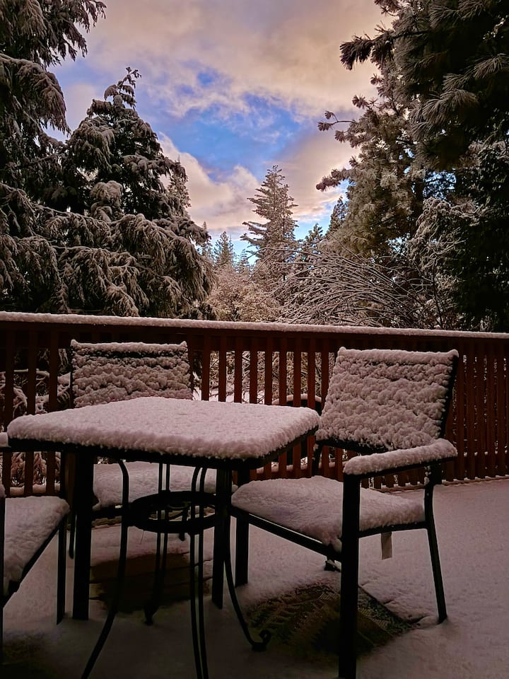 Catesshaverchalet - Shaver Lake, CA