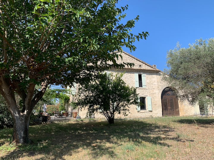 Mas Provençal Avignon - Avignon