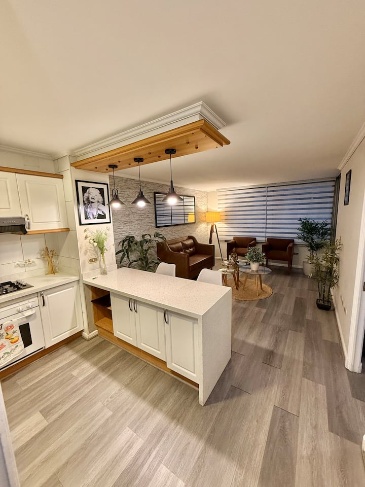 Great Apt Near Moneda Palace !  Metro Sta Ana - Independencia