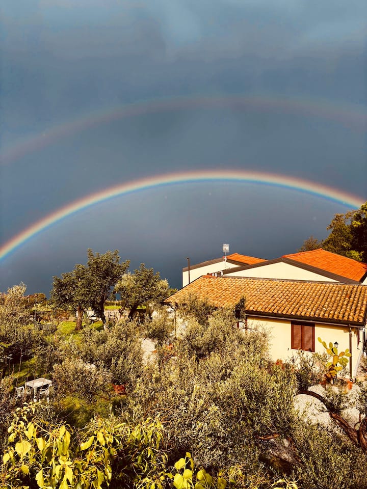 Bouganville In Villa Greco - Falcone