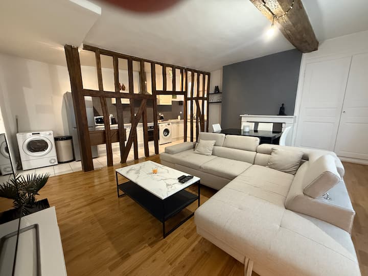 Grand Appart Tout Confort Hyper Centre De Chalons - Cirque, Châlons-en-Champagne