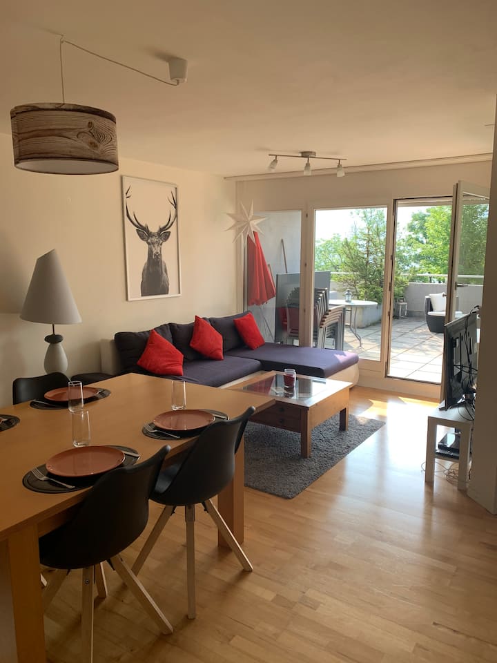 Appartement 2 Chambres à Coucher, Salon, Terrasse - Aigle