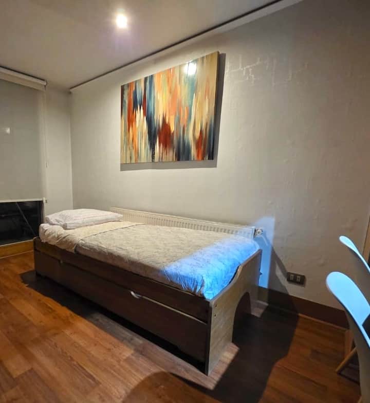 Comfortable Apartment In Central Location - Providencia