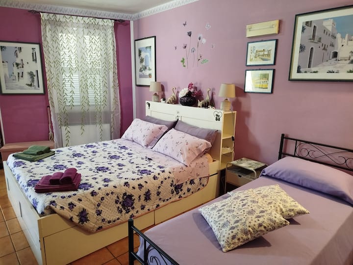 Gatto Matto - Bracciano