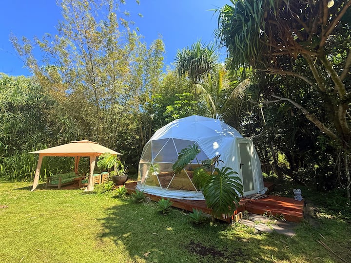 Come Sleep In The Jungle  Glamping Experience - Hawaii