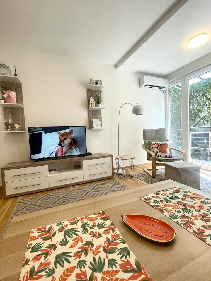 Alma Vracar Apartment - Belgrade