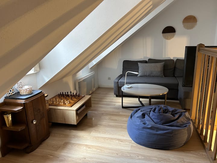 Superbe Appartement Strasbourgeois 17e Siecle - 스트라스부르