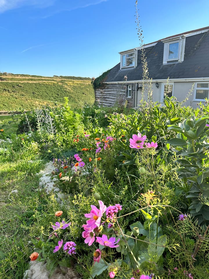 Sunset Valley House, Sark - Guernsey