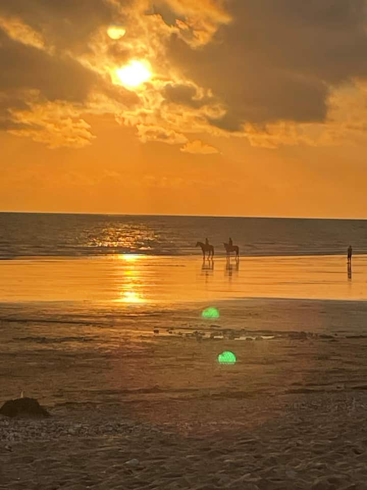 La Marine Très Beau Logement - Saint-Trojan-les-Bains